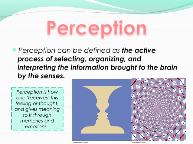 Chapter 5 sensation and perception 1 | PPT