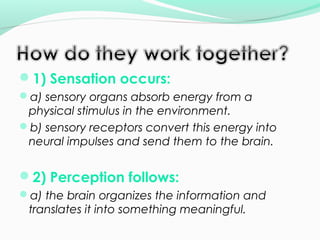 Chapter 5 sensation and perception 1 | PPT