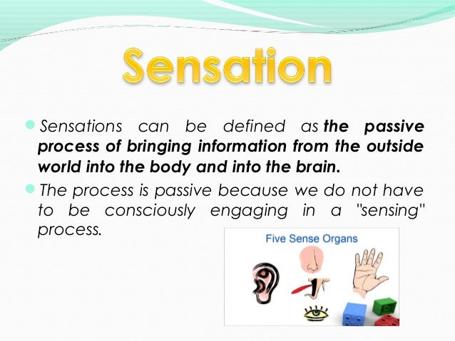 Chapter 5 sensation and perception 1 Chapter 5 sensation and perception 1