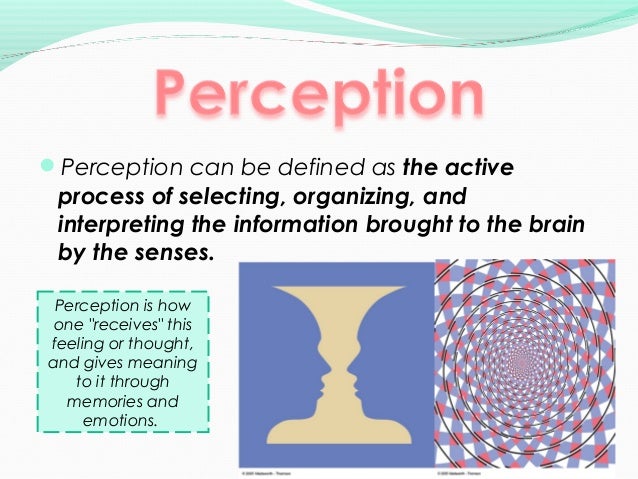 Chapter 5 sensation and perception 1