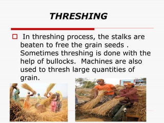 science Chapter 5 separation of substances | PPT