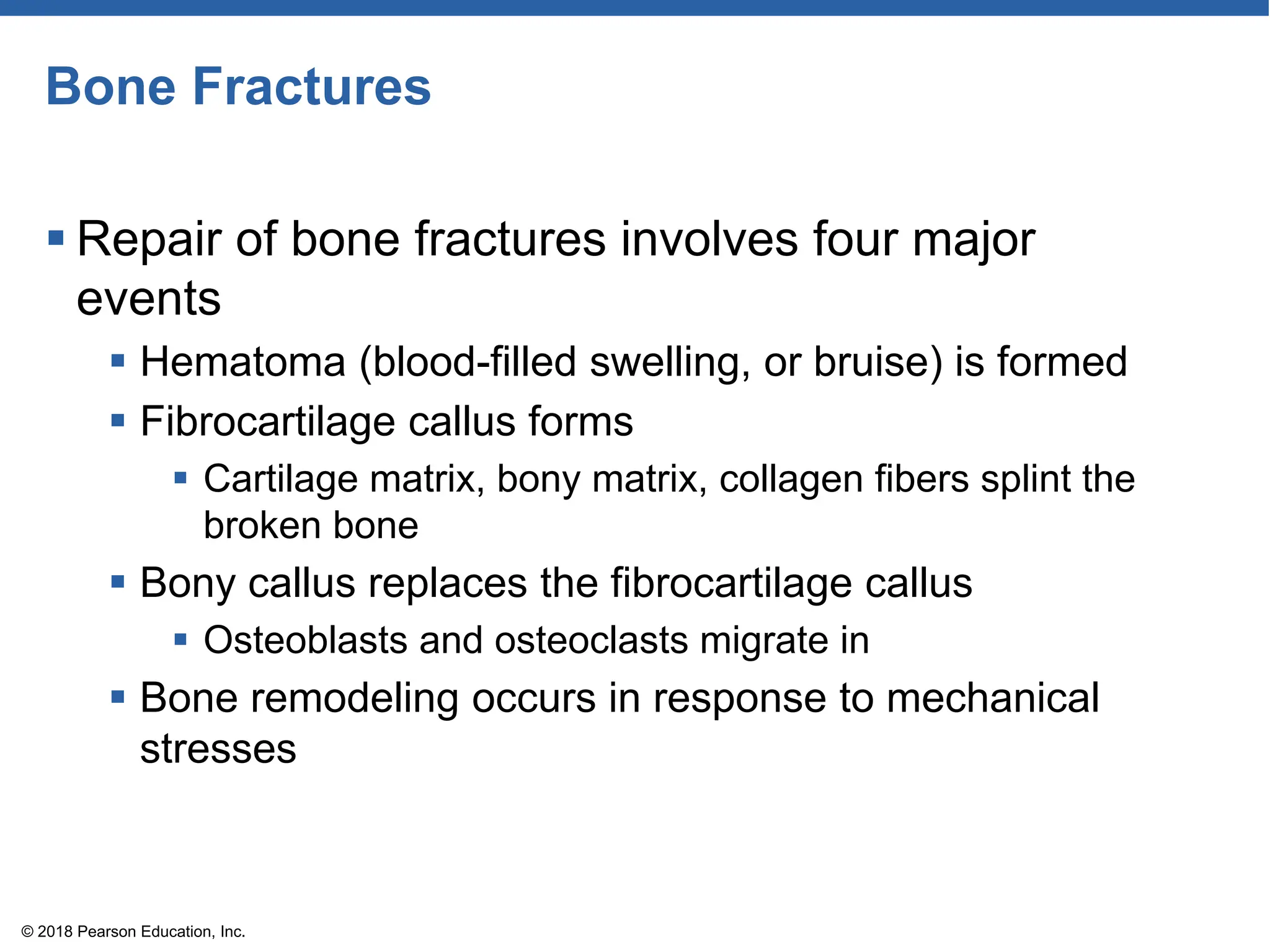 Anatomy and Physiology. CHAPTER 5 Skeletal System | PPT