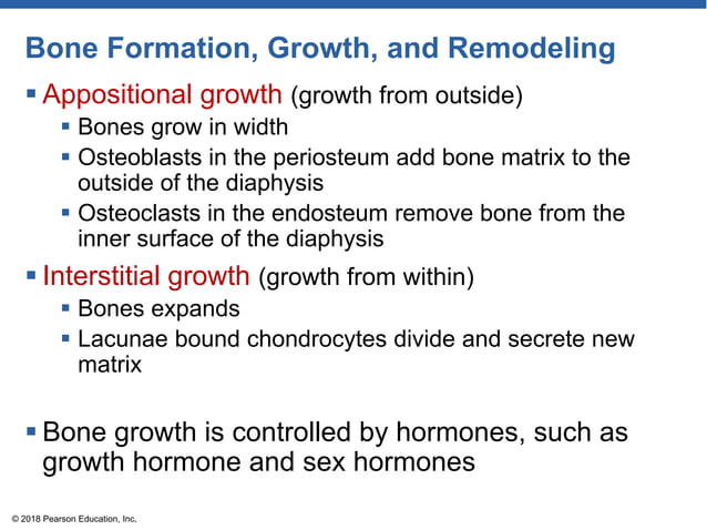 Anatomy and Physiology. CHAPTER 5 Skeletal System | PPT