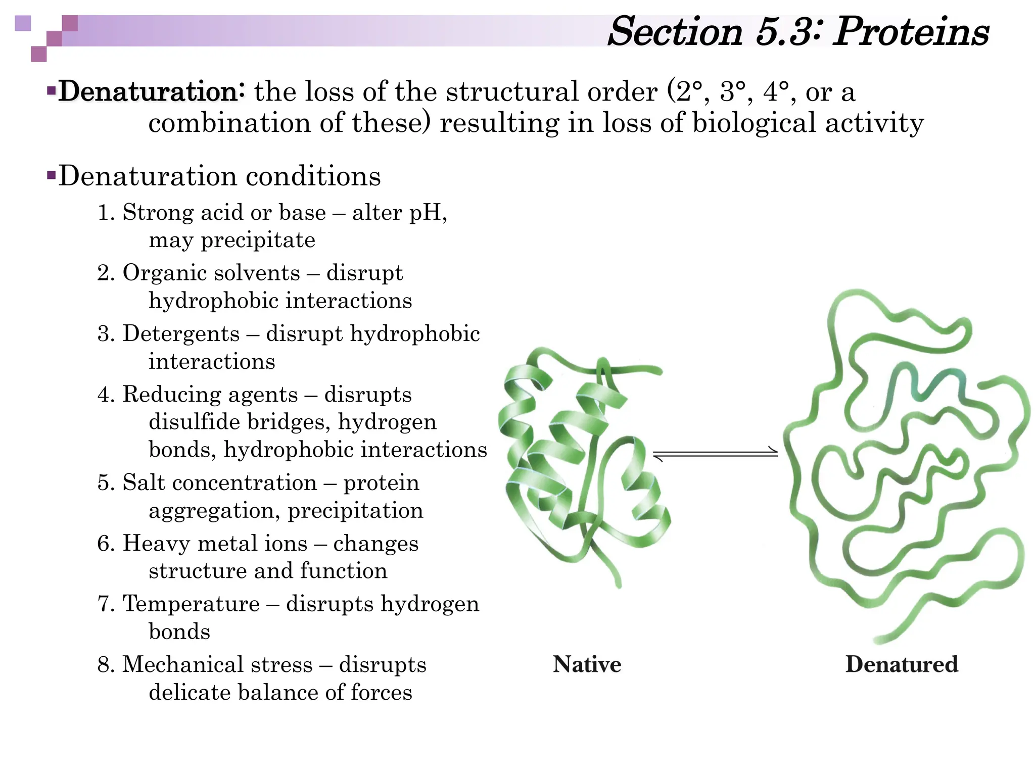 Peptides and classification of peptides Slides.pdf