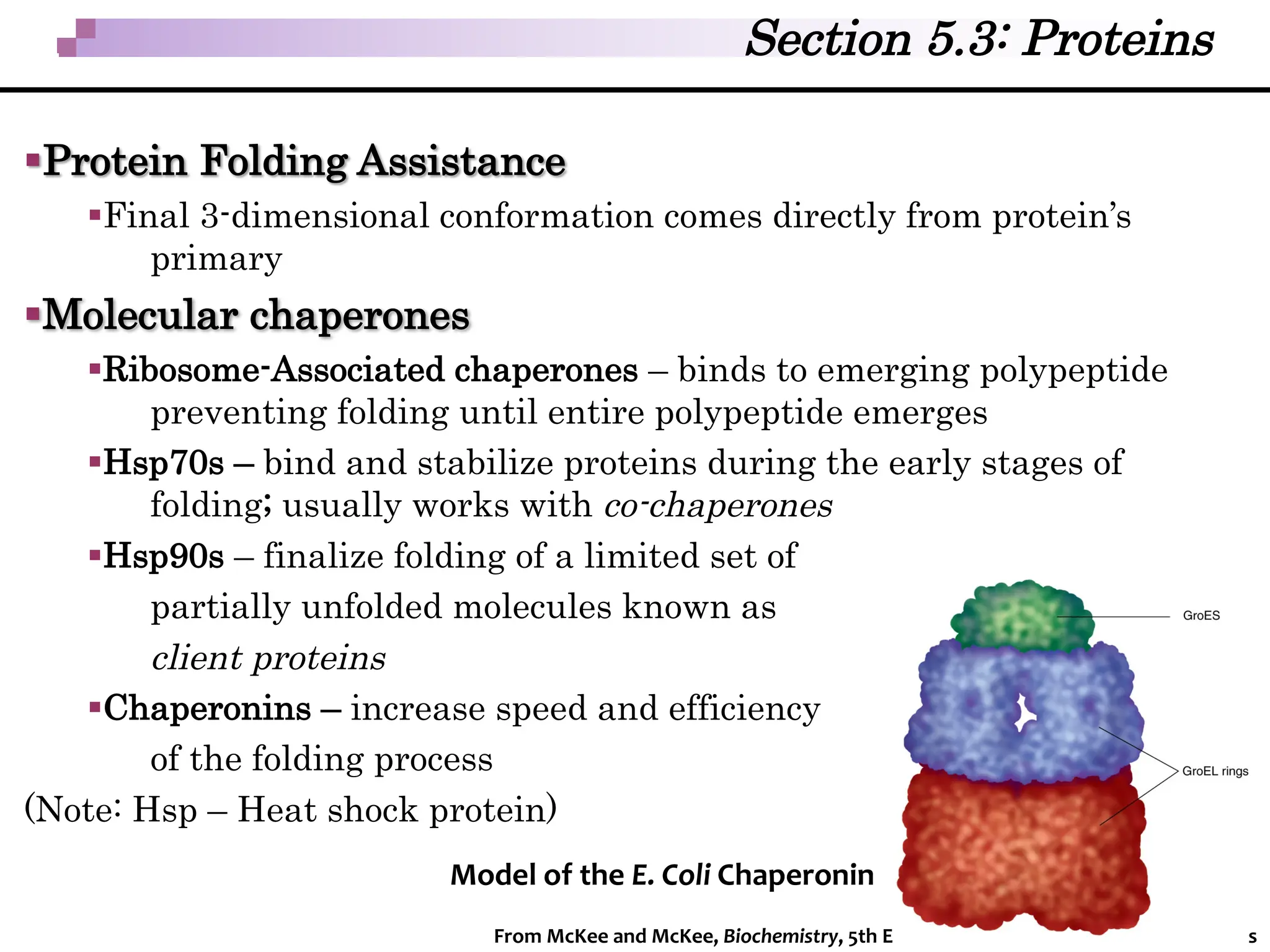 Peptides and classification of peptides Slides.pdf
