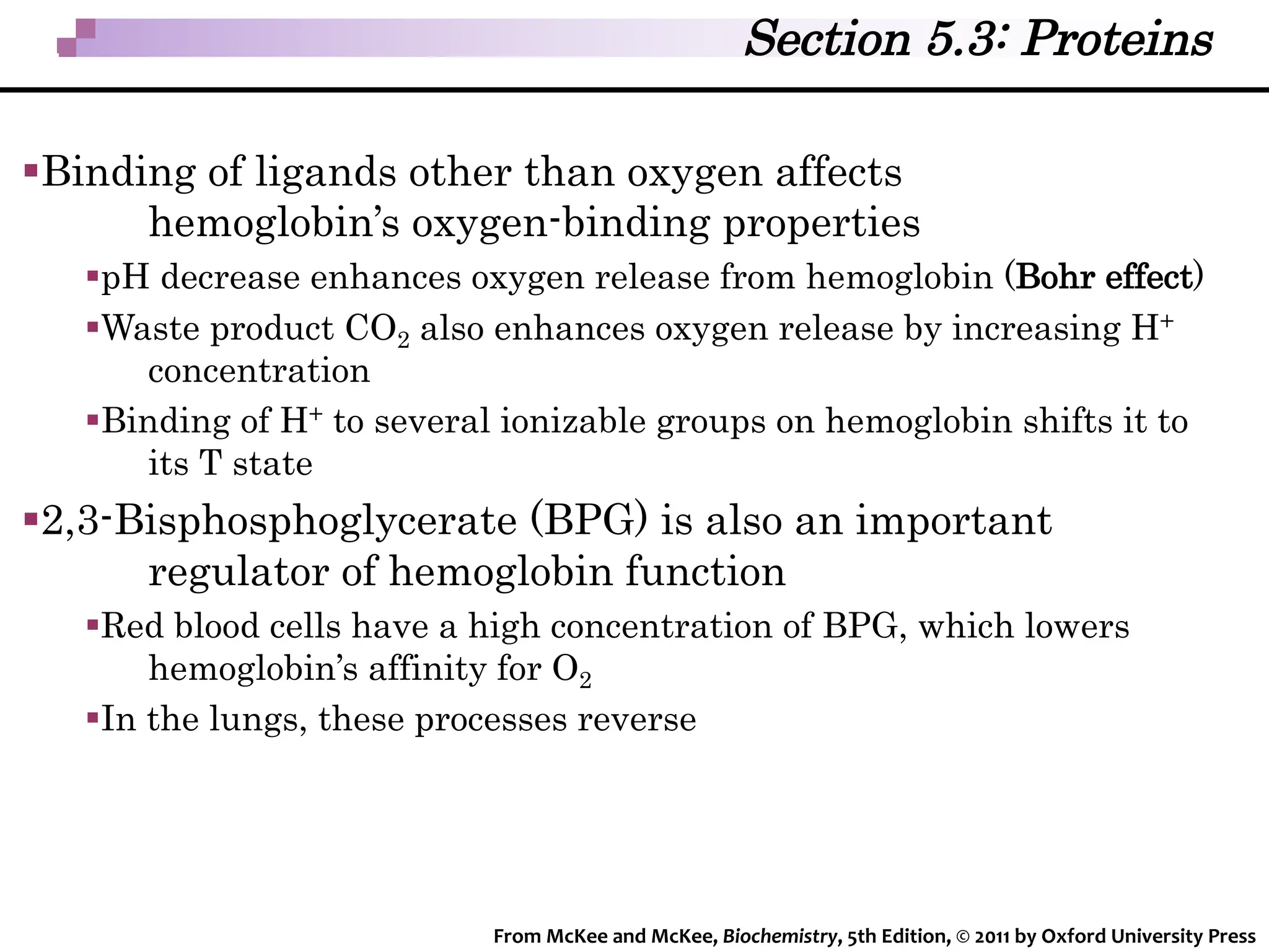 Peptides and classification of peptides Slides.pdf