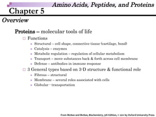 Peptides and classification of peptides Slides.pdf