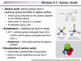 Peptides and classification of peptides Slides.pdf