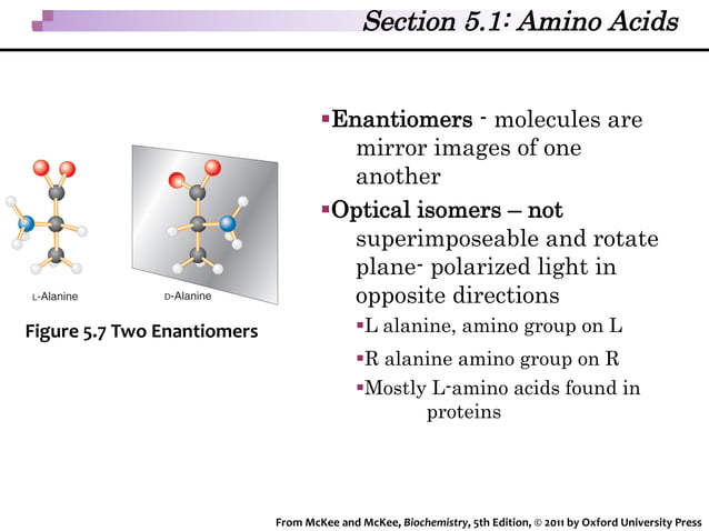 Peptides and classification of peptides Slides.pdf