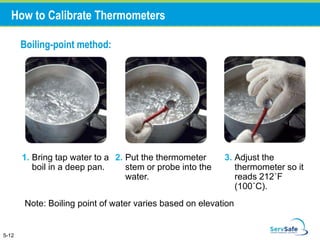 Chapter 5 The Flow of Food an Introduction | PPTX