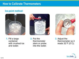 Chapter 5 The Flow of Food an Introduction | PPTX