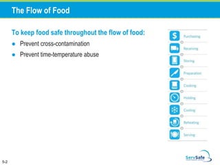 Chapter 5 The Flow of Food an Introduction | PPTX