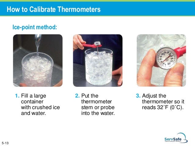 Chapter 5 The Flow of Food an Introduction