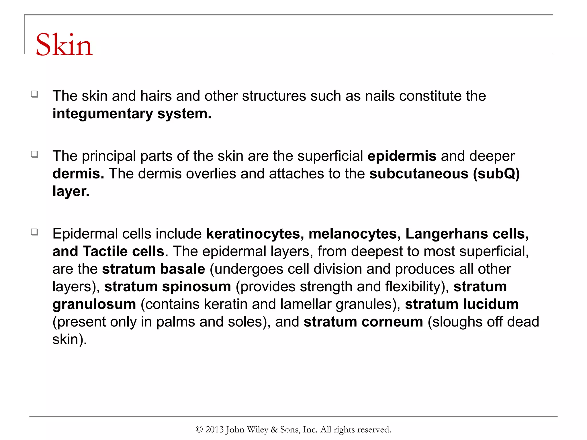 Chapter 5 the integumentary system | PPT