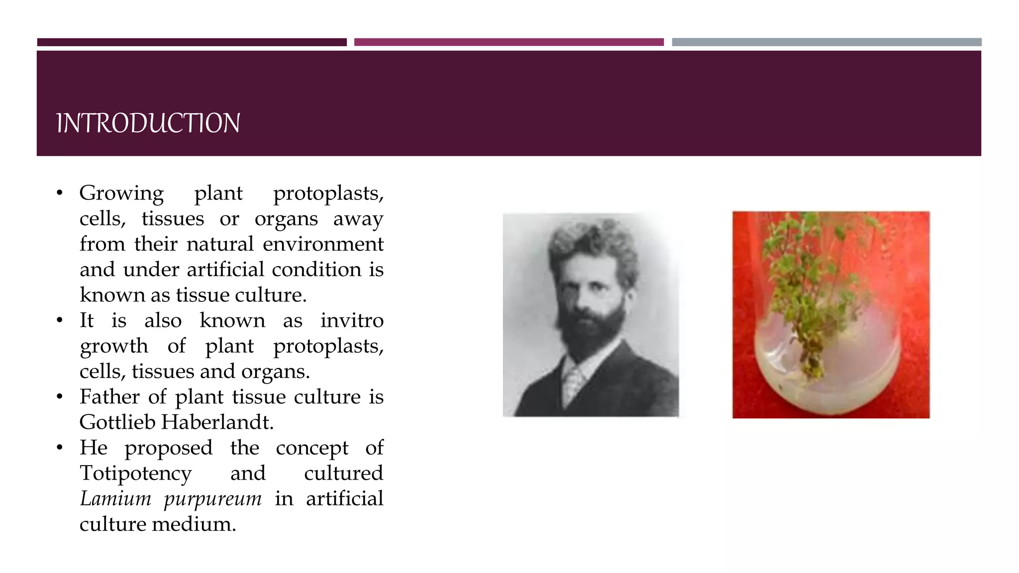 Chapter 5 tissue culture | PPTX