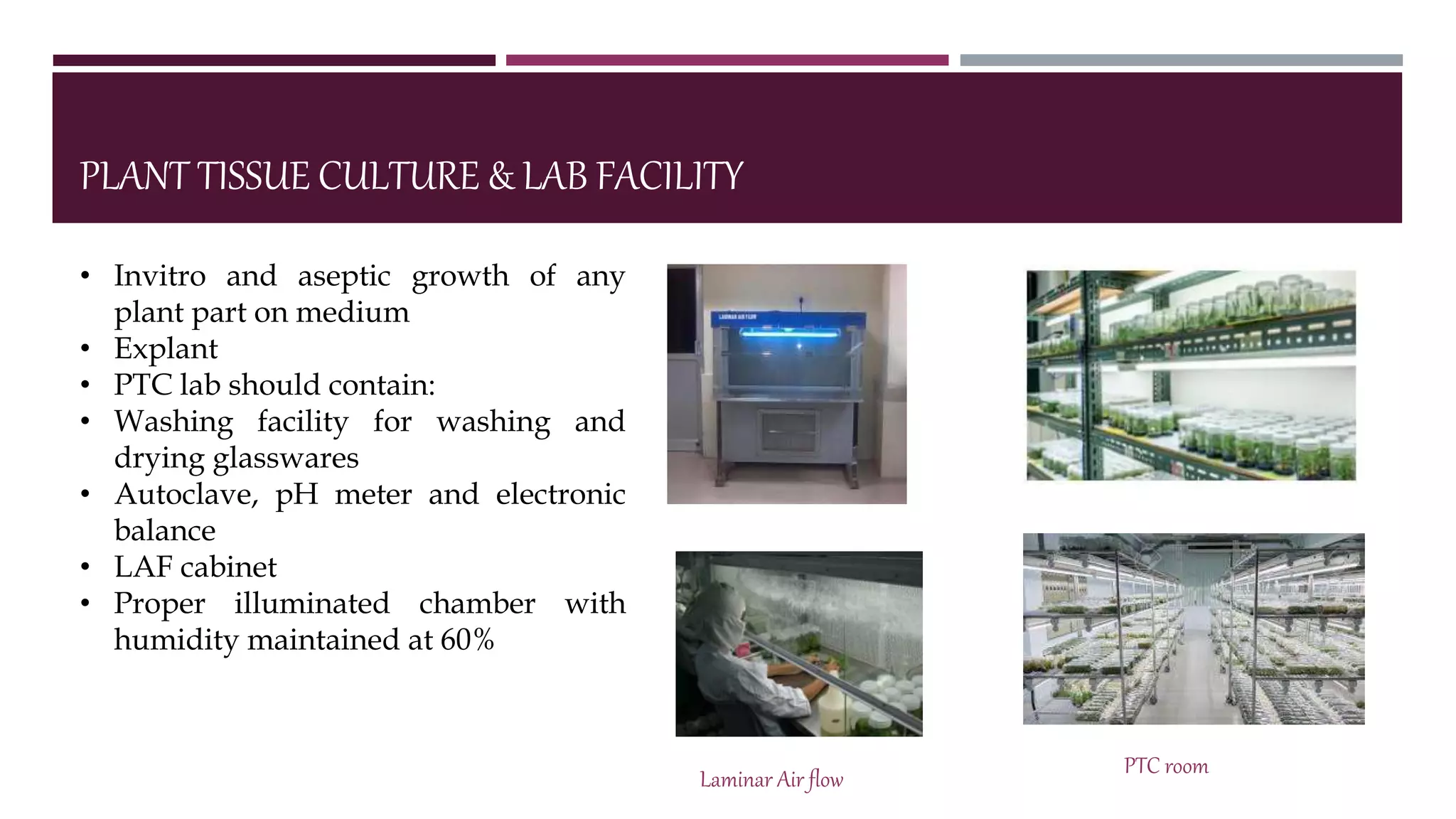 Chapter 5 tissue culture | PPTX