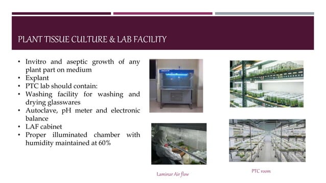 Chapter 5 tissue culture | PPT