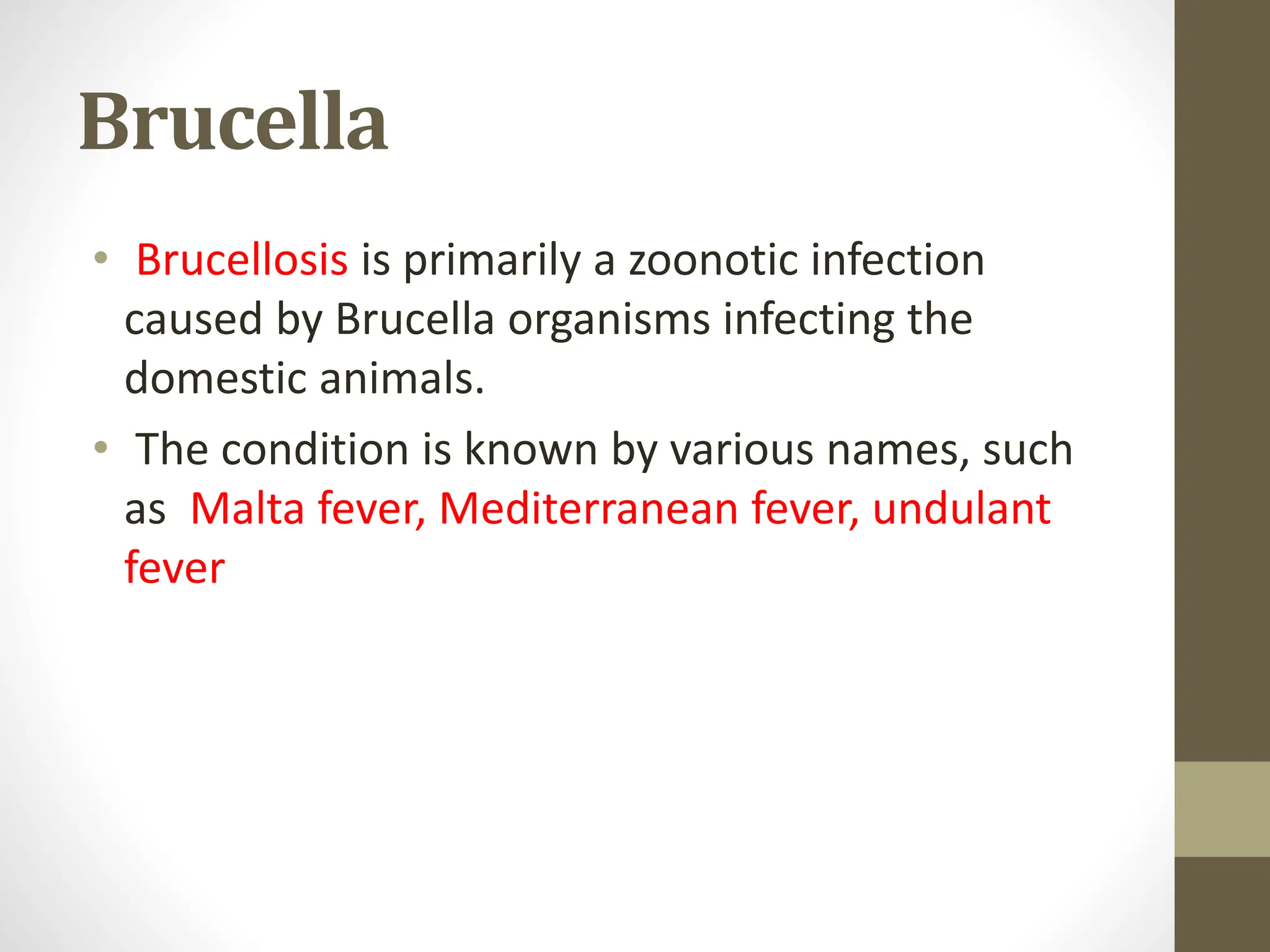 BRUCELLA (Gram negative bacteria) zoonotic infection | PPTX