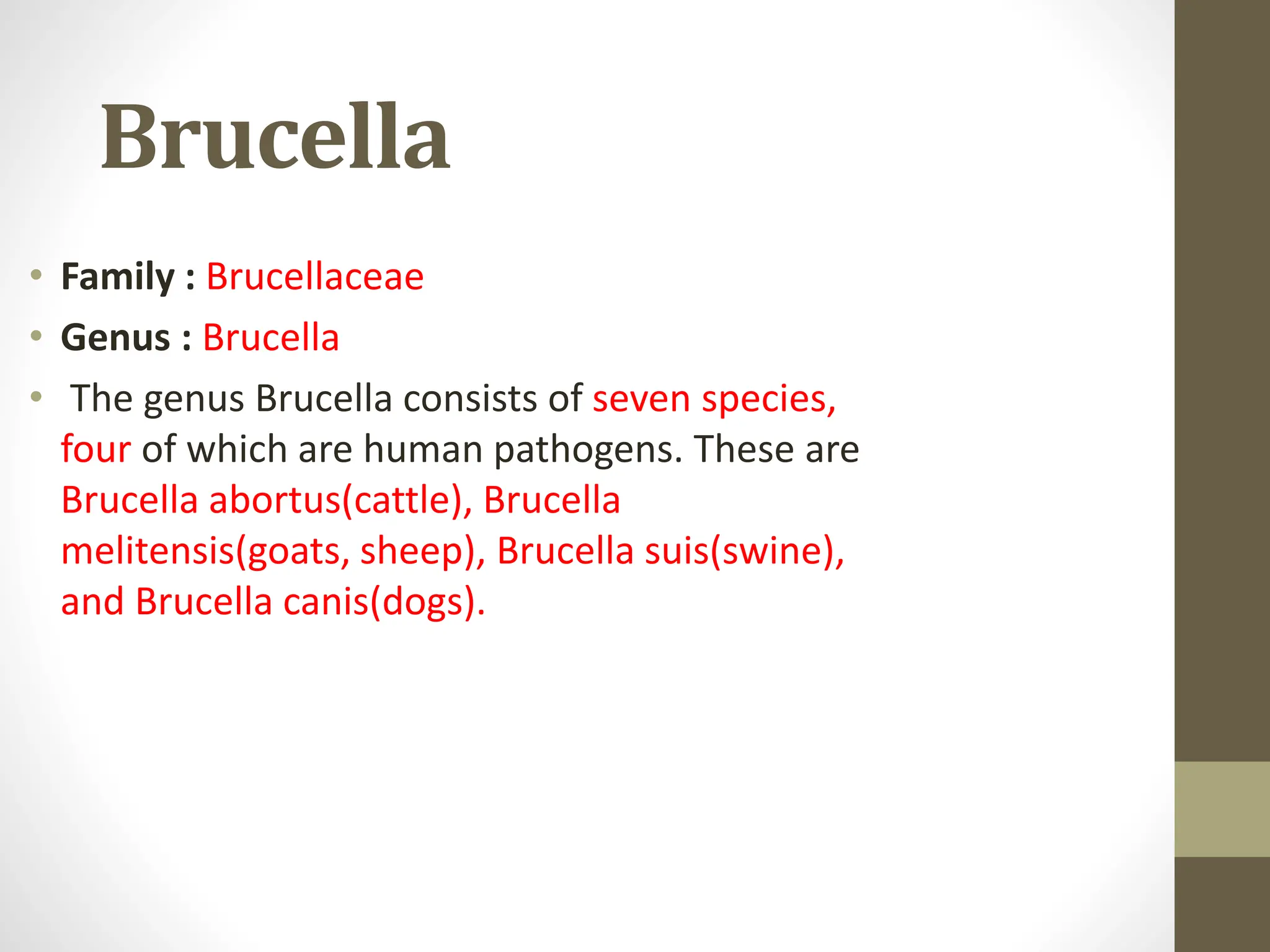 BRUCELLA (Gram negative bacteria) zoonotic infection | PPTX
