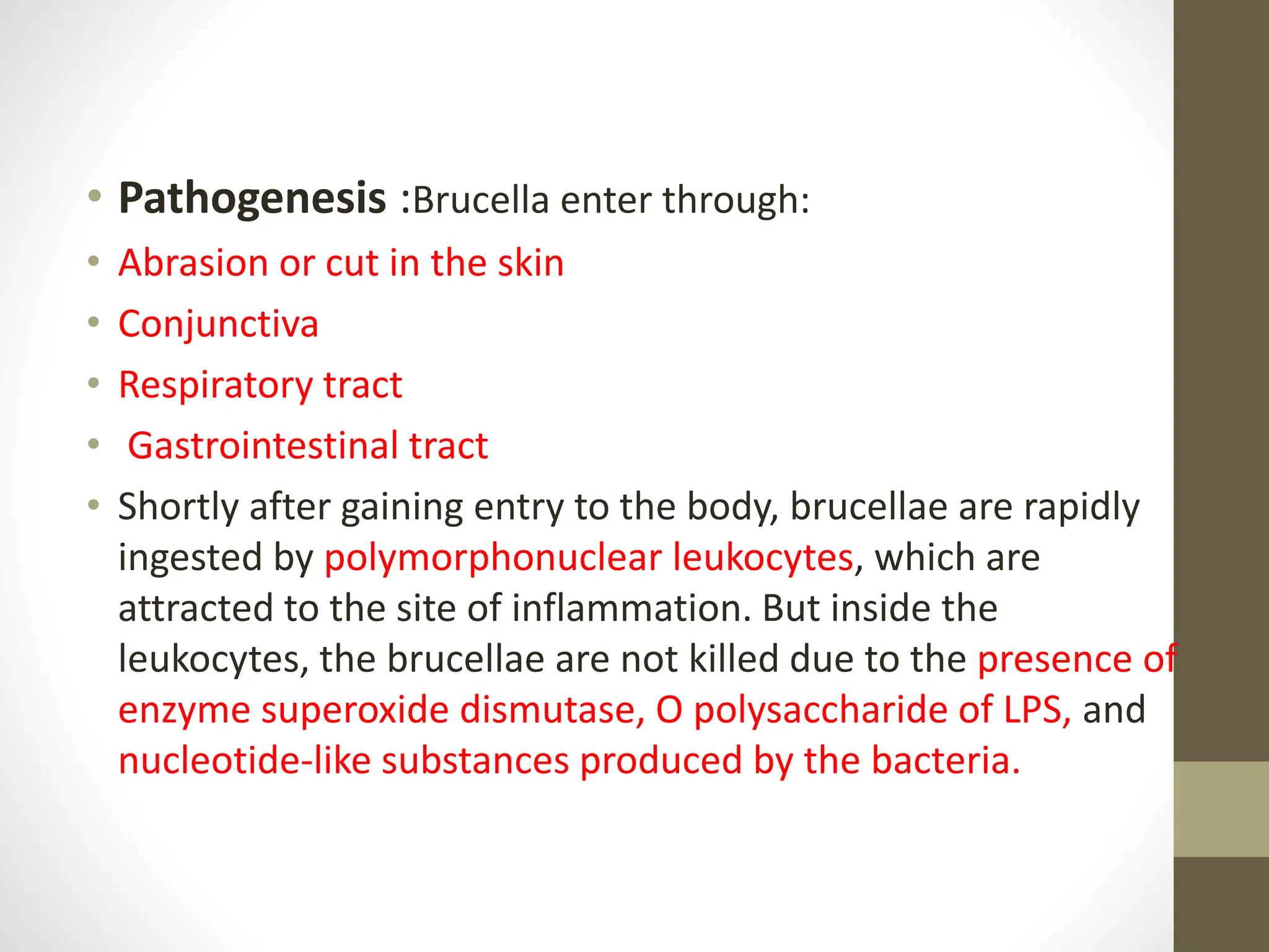 BRUCELLA (Gram negative bacteria) zoonotic infection | PPTX