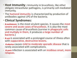 BRUCELLA (Gram negative bacteria) zoonotic infection | PPTX