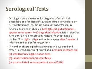 BRUCELLA (Gram negative bacteria) zoonotic infection | PPTX