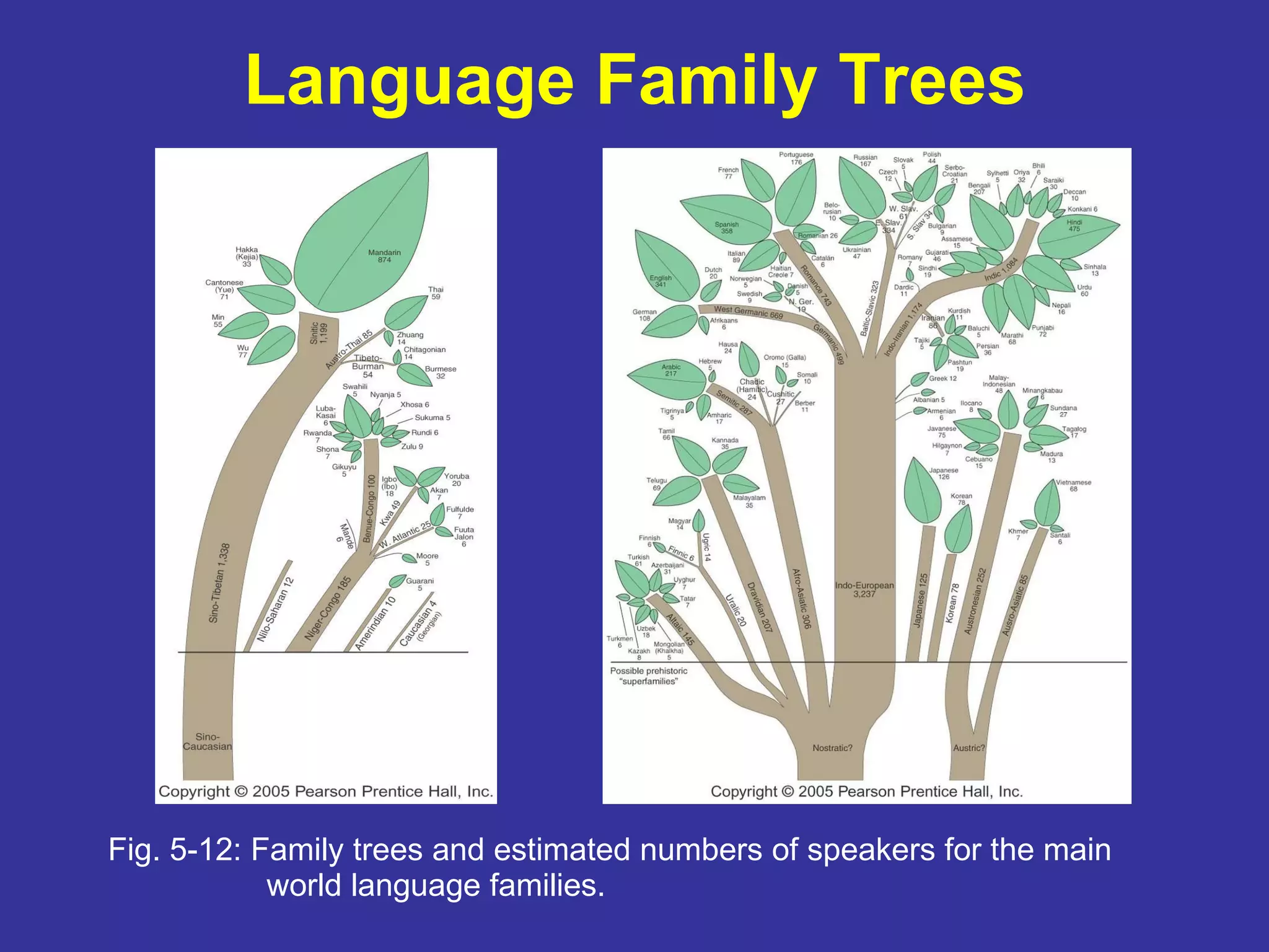 Chapter 5 (Language) | PPT