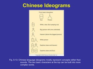 Chapter 5 (Language) | PPT