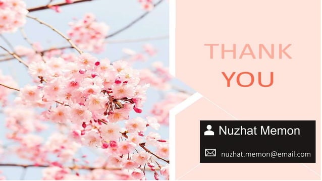 Std 11 Computer Chapter 5 Using Pictures in Synfig (Practical 1 Basics Operations on Image in ...