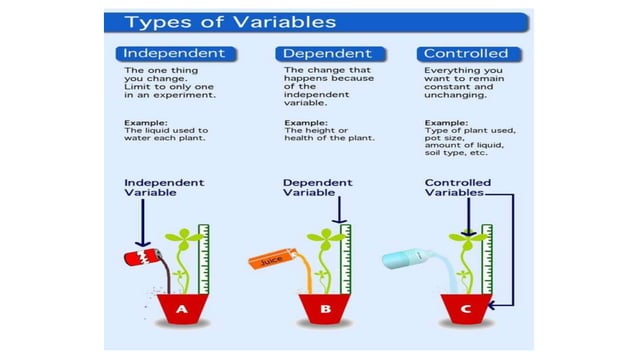 Chapter 5 variables and their types | PPT | Free Download