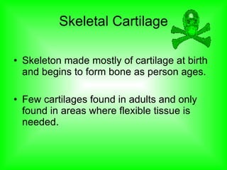 The Skeletal System - Chapter 6 | PPT