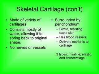 The Skeletal System - Chapter 6 | PPT