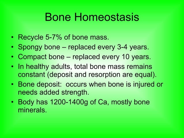 The Skeletal System - Chapter 6 | PPT