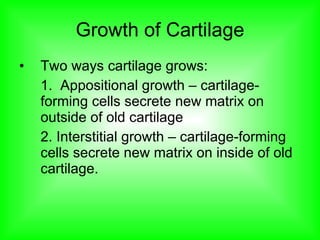 The Skeletal System - Chapter 6 | PPT