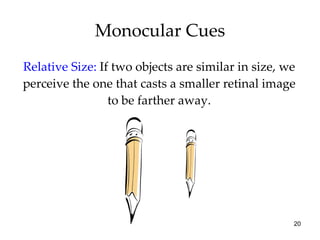 Monocular Cues Relative Size