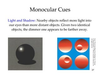 Monocular Cues Light And Shadow