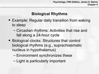 Chapter6 | PPT