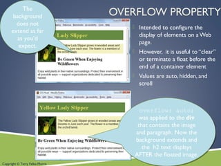 Chapter 6 - Web Design | PPT