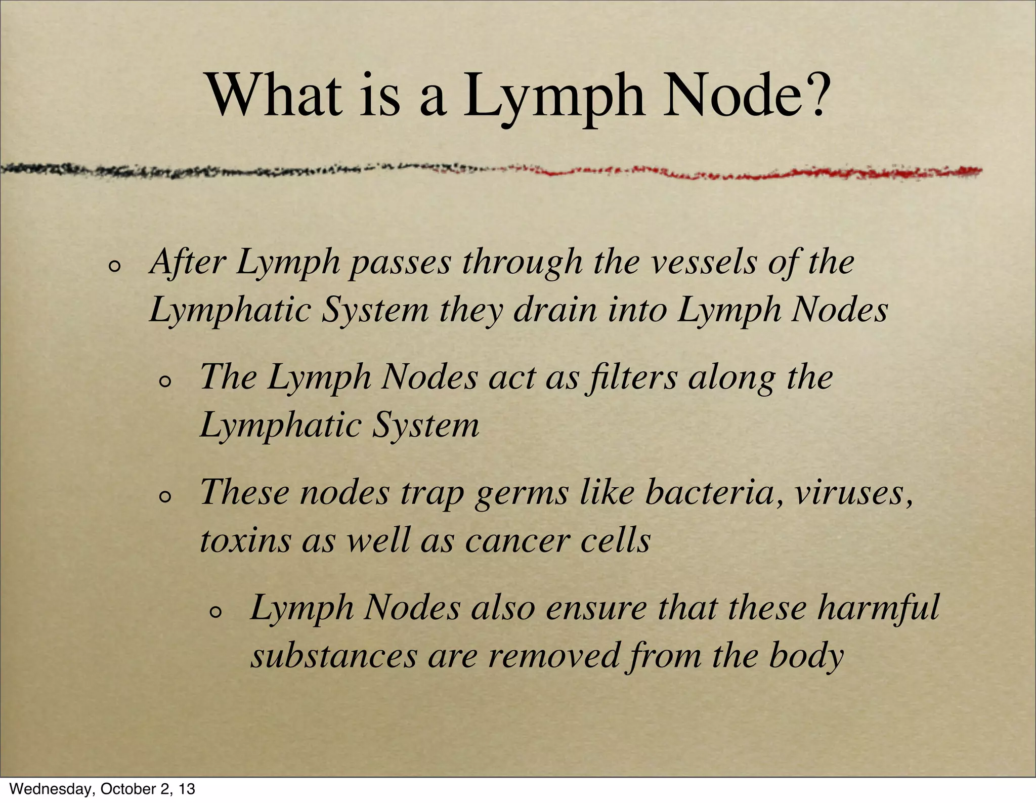 Chapter 6: Lymph, Lymph Node and Lymphocyte | PDF | Biological Sciences ...