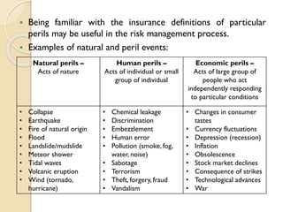 Chapter 6- Risk Management | PPTX