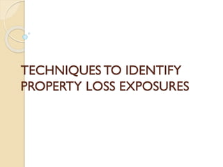 Chapter 6- Risk Management | PPTX