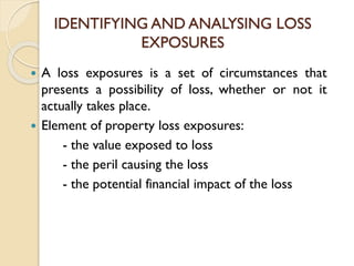 Chapter 6- Risk Management | PPTX