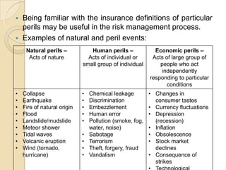 Chapter 6 - Risk Management | PPTX