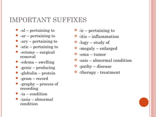 Chapter 6 - Lymphatic and Immune System | PPT