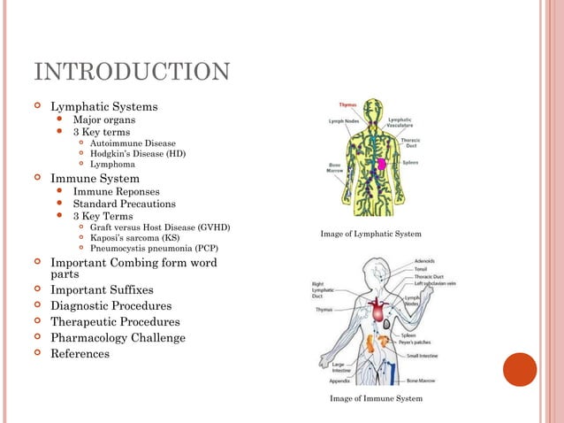 Chapter 6 - Lymphatic and Immune System | PPT