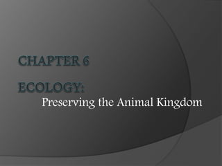 Chapter 6 Ecology: Preserve the Animal Kingdom | PPTX