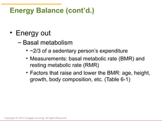 Chapter 6: Energy Balance and Body Composition | PPT
