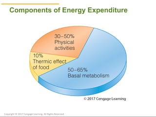 Chapter 6: Energy Balance and Body Composition | PPT