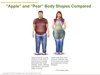 Chapter 6: Energy Balance and Body Composition | PPT