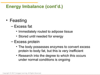 Chapter 6: Energy Balance and Body Composition | PPT